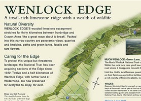 Podcasts from The Bald Explorer